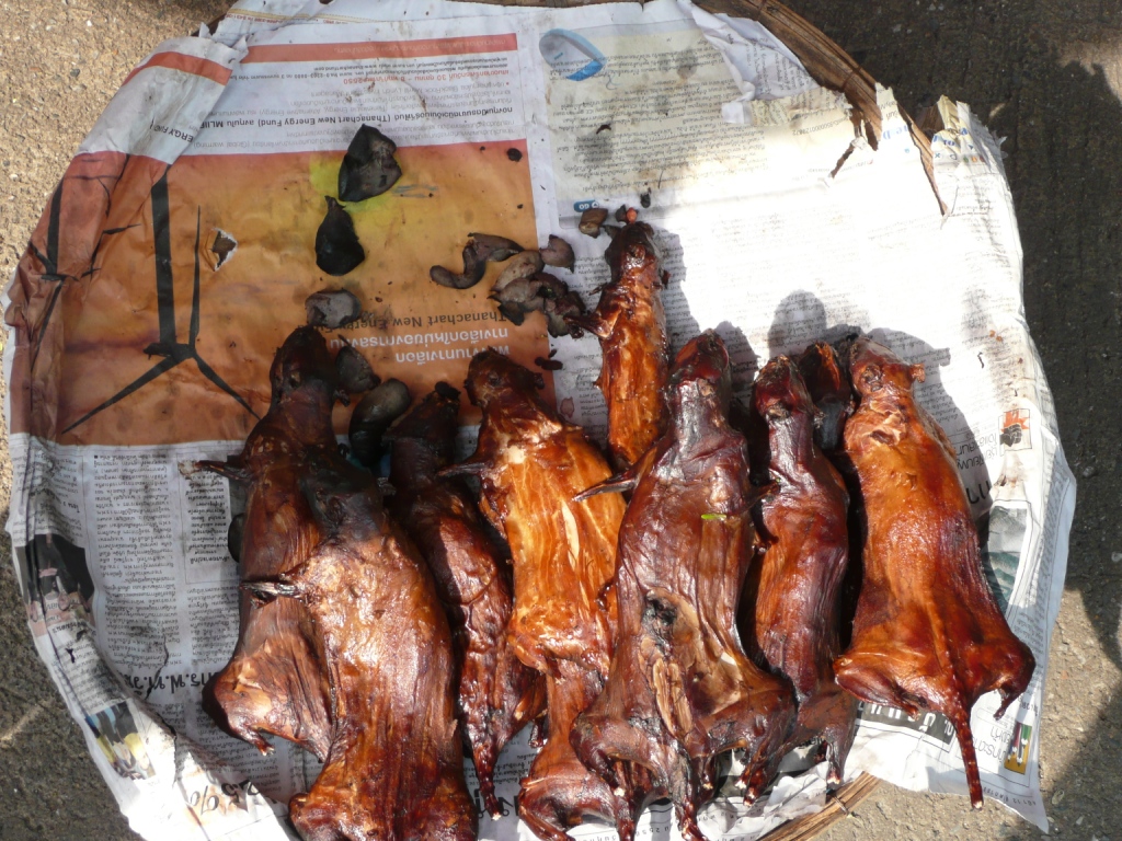 Some Images From the Mekong Delt