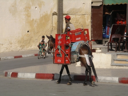 Some Images From the Mekong Delt